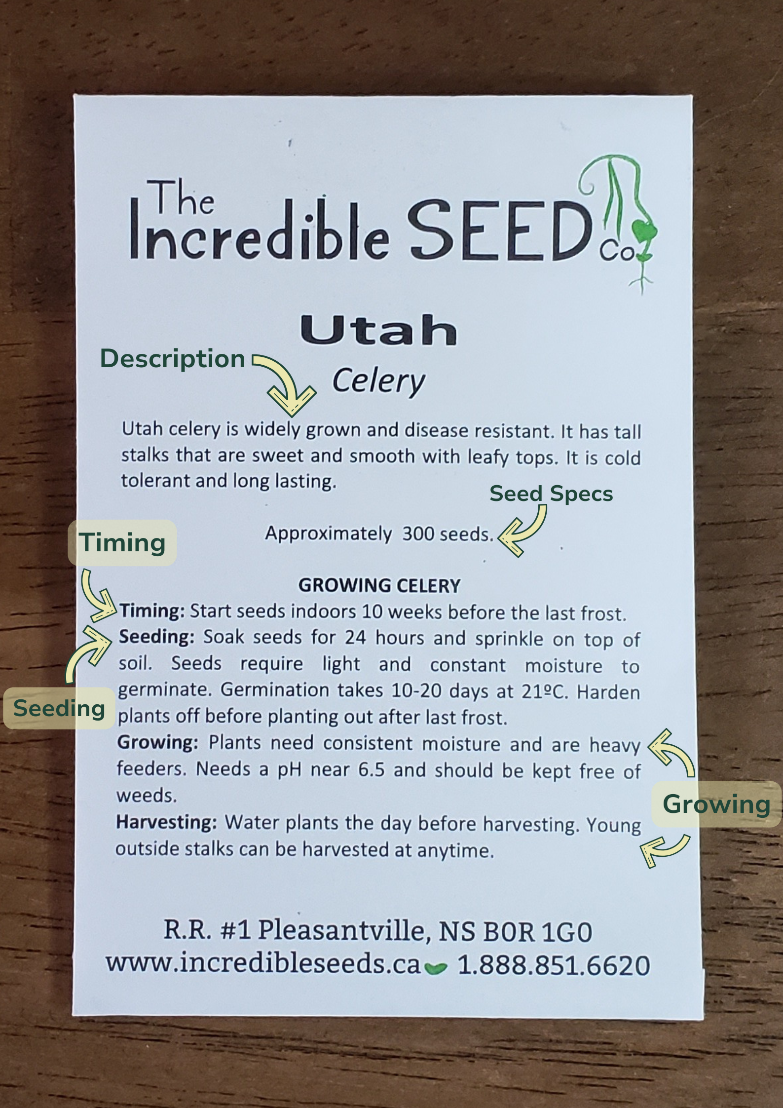 How to Read A Seed Packet