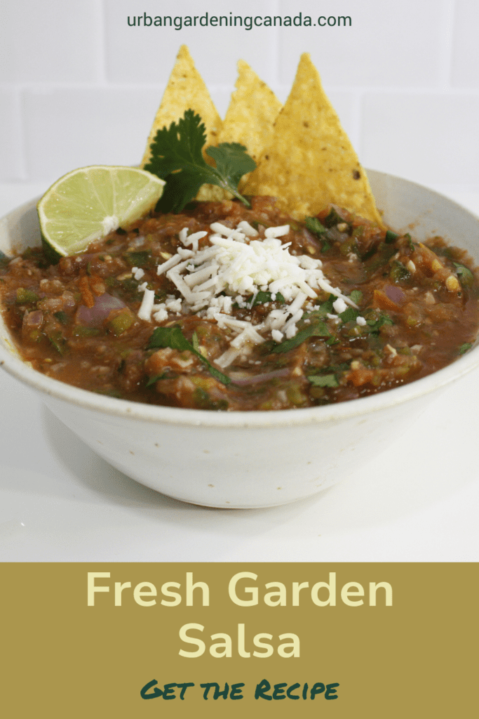 How to Make Garden Fresh Salsa - www.urbangardeningcanada.com
