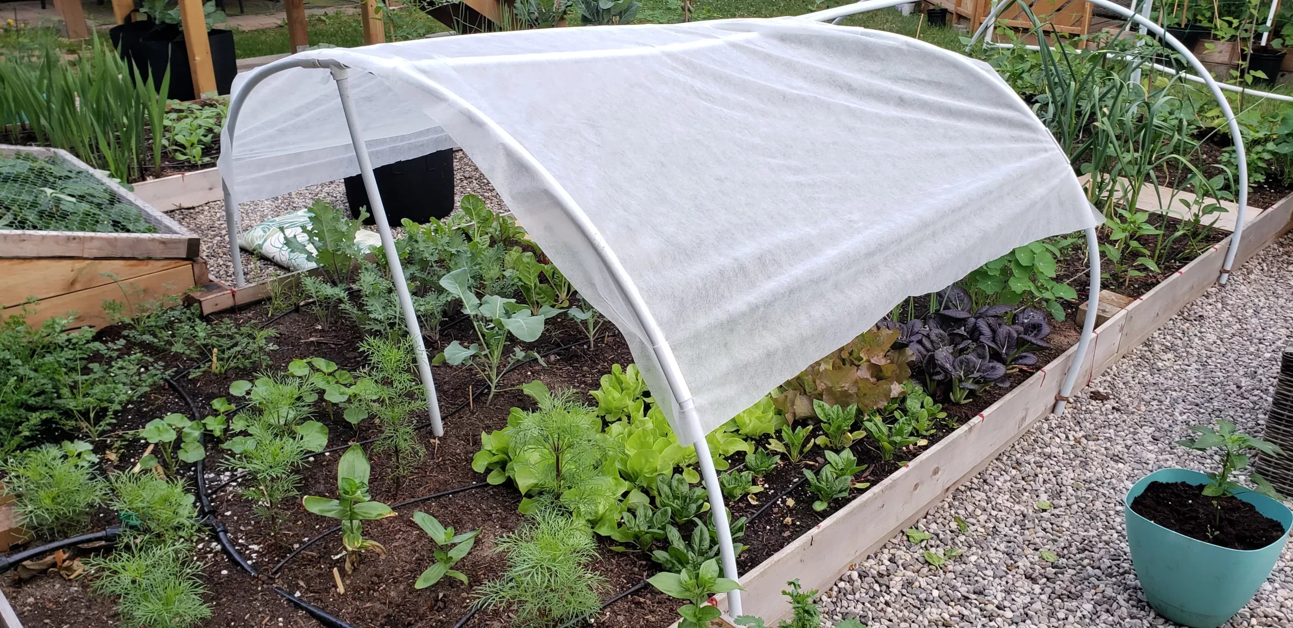A Complete Guide to Hoop Houses in the Garden