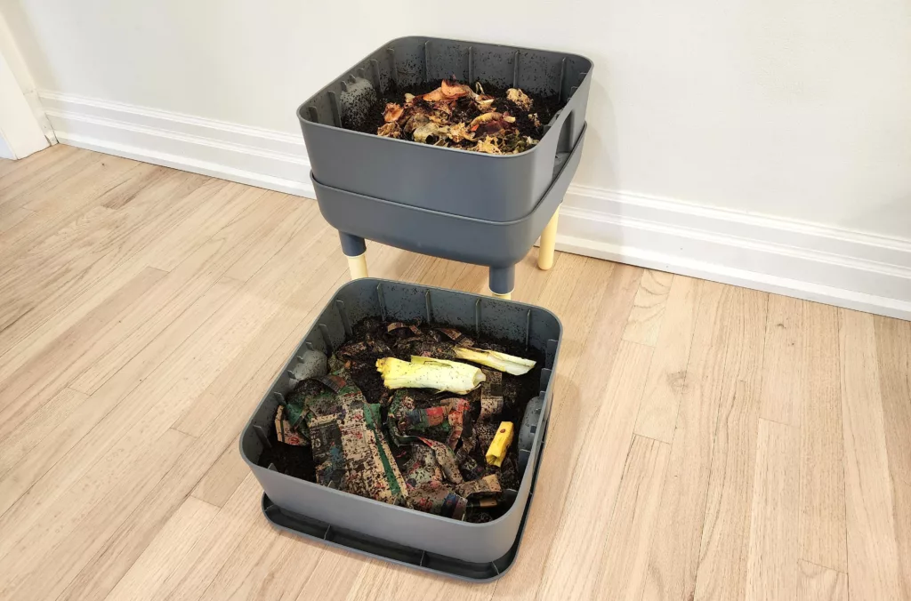 How to Start A Worm Compost at Home (Vermicomposting)